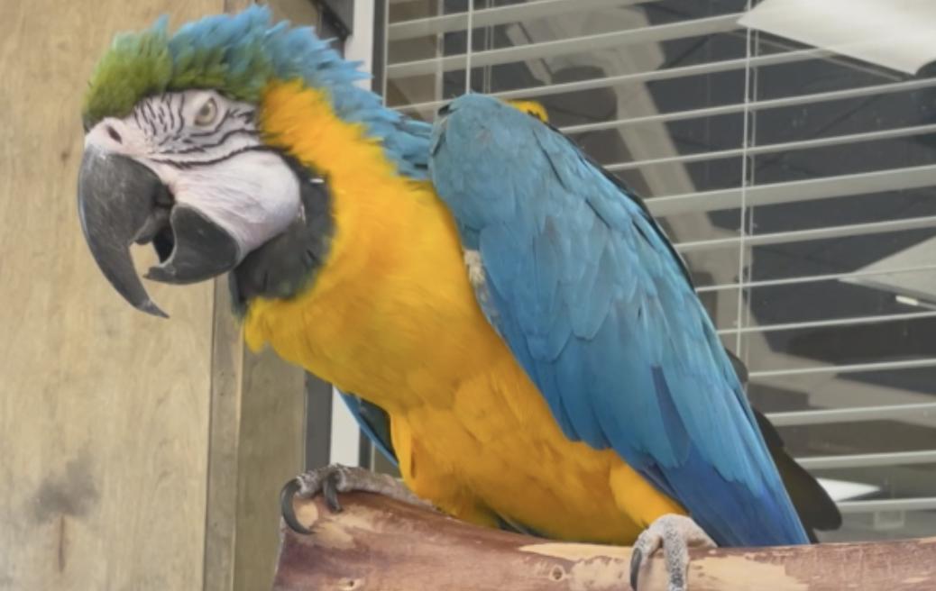 Jojo DeStafney | NAMM.org